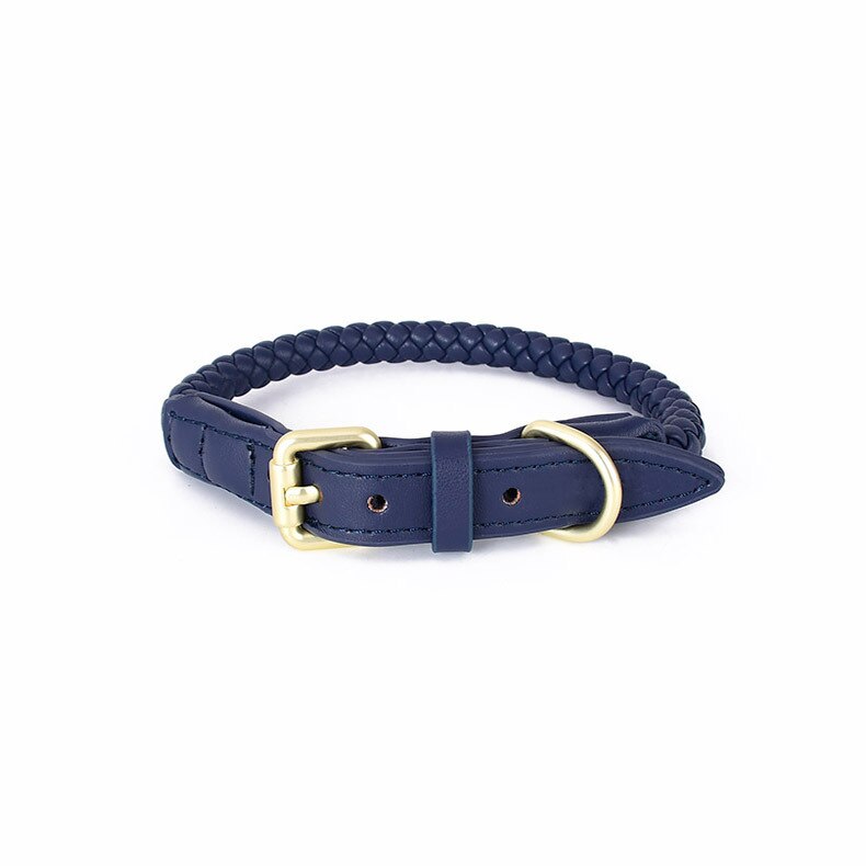 Braided Poodle Collar – Poodles World