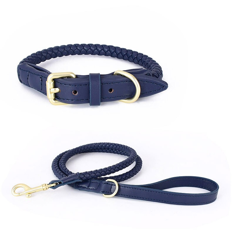 Braided Poodle Collar – Poodles World
