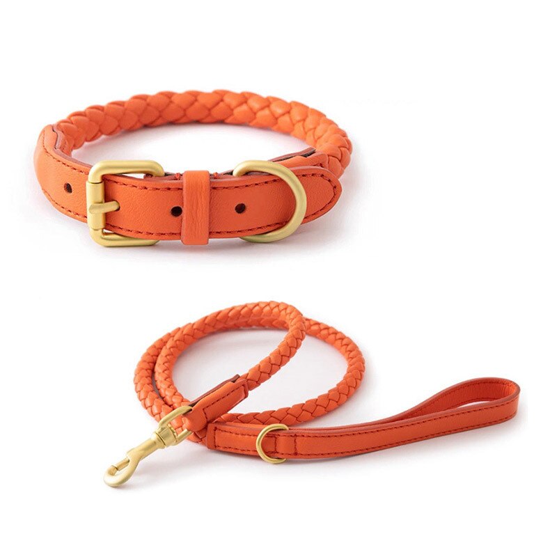 Braided Poodle Collar – Poodles World