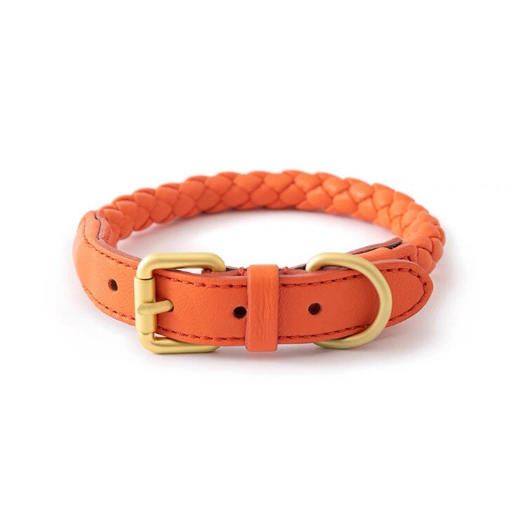 Braided Poodle Collar – Poodles World