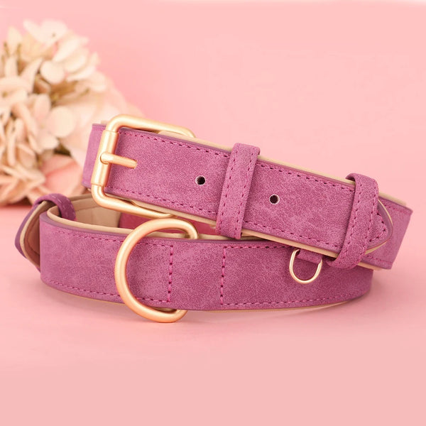 Custom Dog Collar | Personalized Dog Collars for Small, Medium & Large ...
